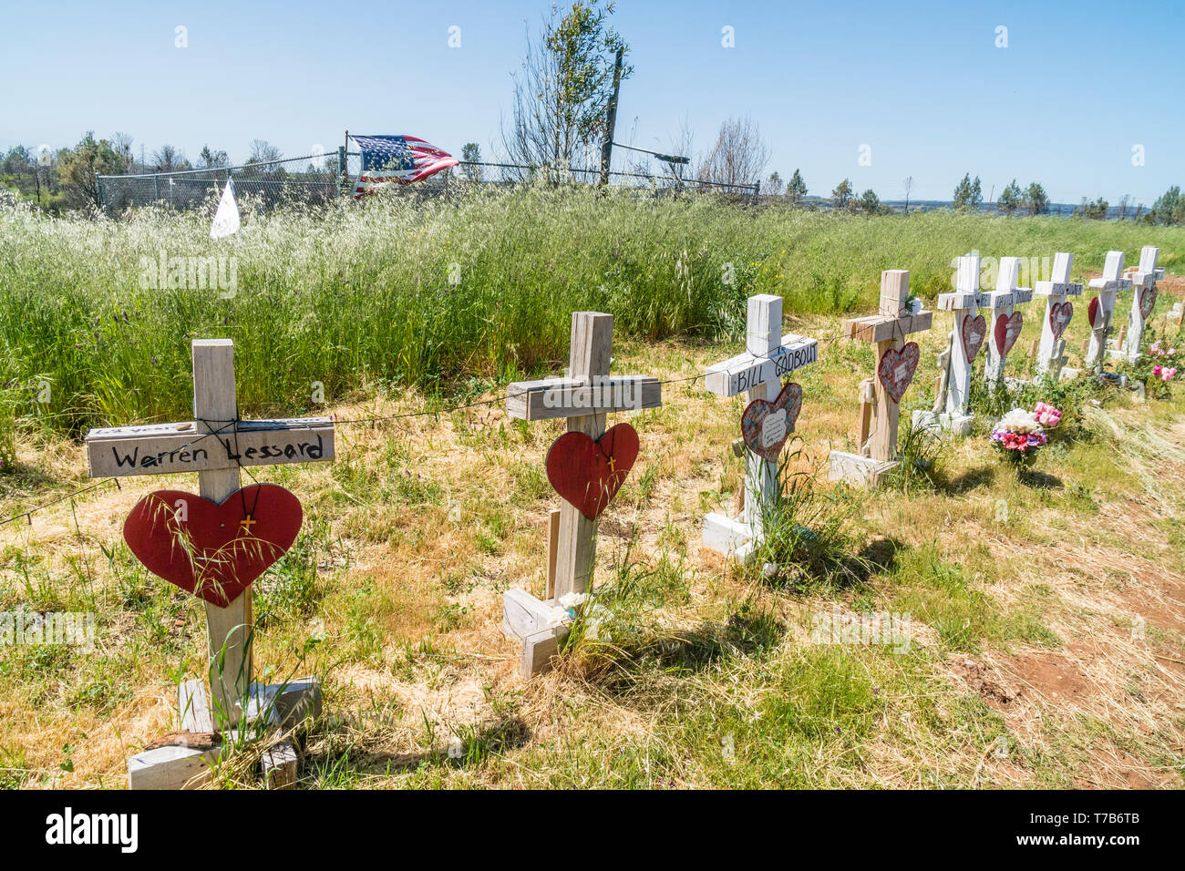 86 crosses were planted to memorialize the victims of the Camp Fire ...