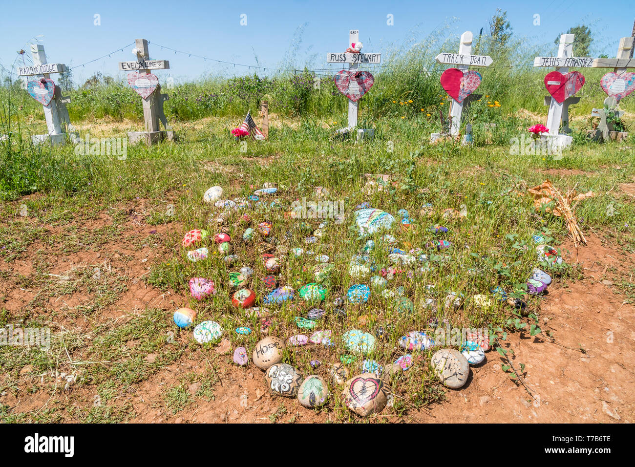 86 crosses were planted to memorialize the victims of the Camp Fire ...