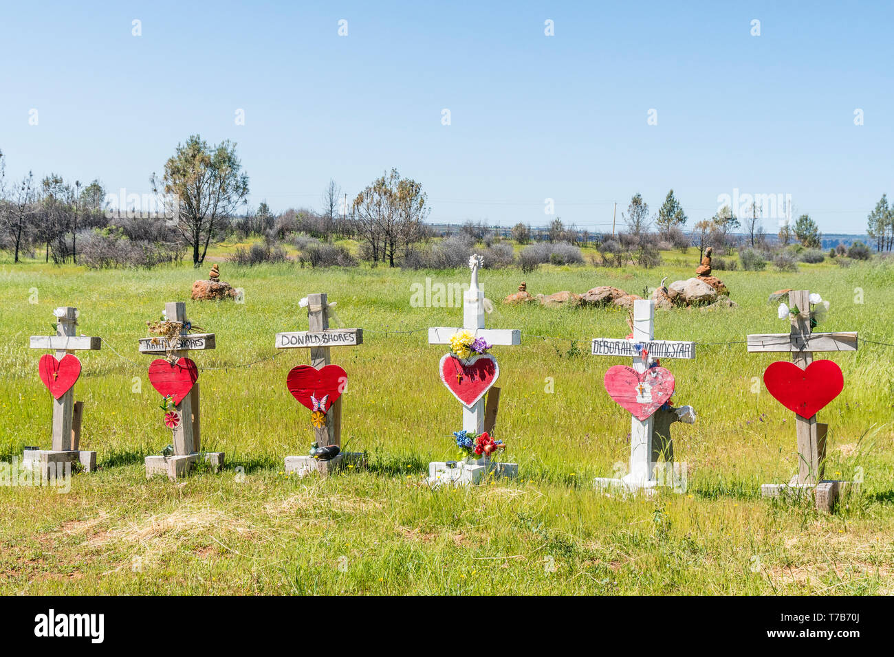 86 crosses were planted to memorialize the victims of the Camp Fire ...