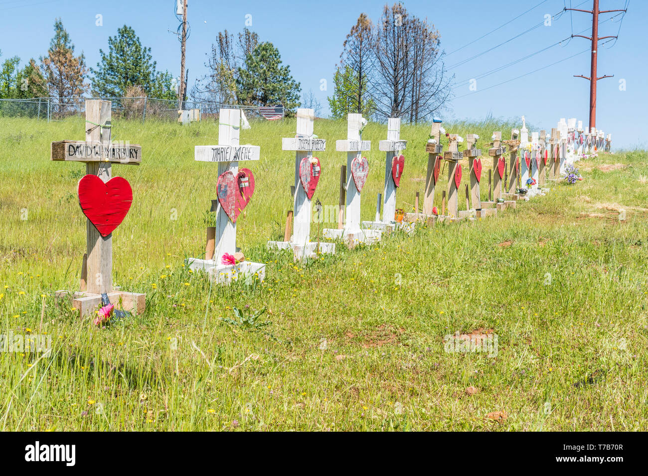 86 crosses were planted to memorialize the victims of the Camp Fire ...