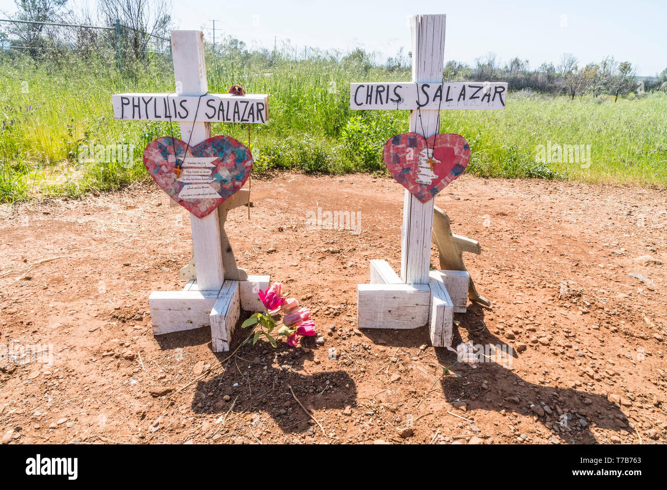 86 crosses were planted to memorialize the victims of the Camp Fire ...