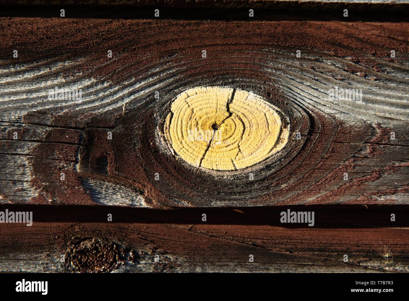 abstract wood texture Stock Photo - Alamy