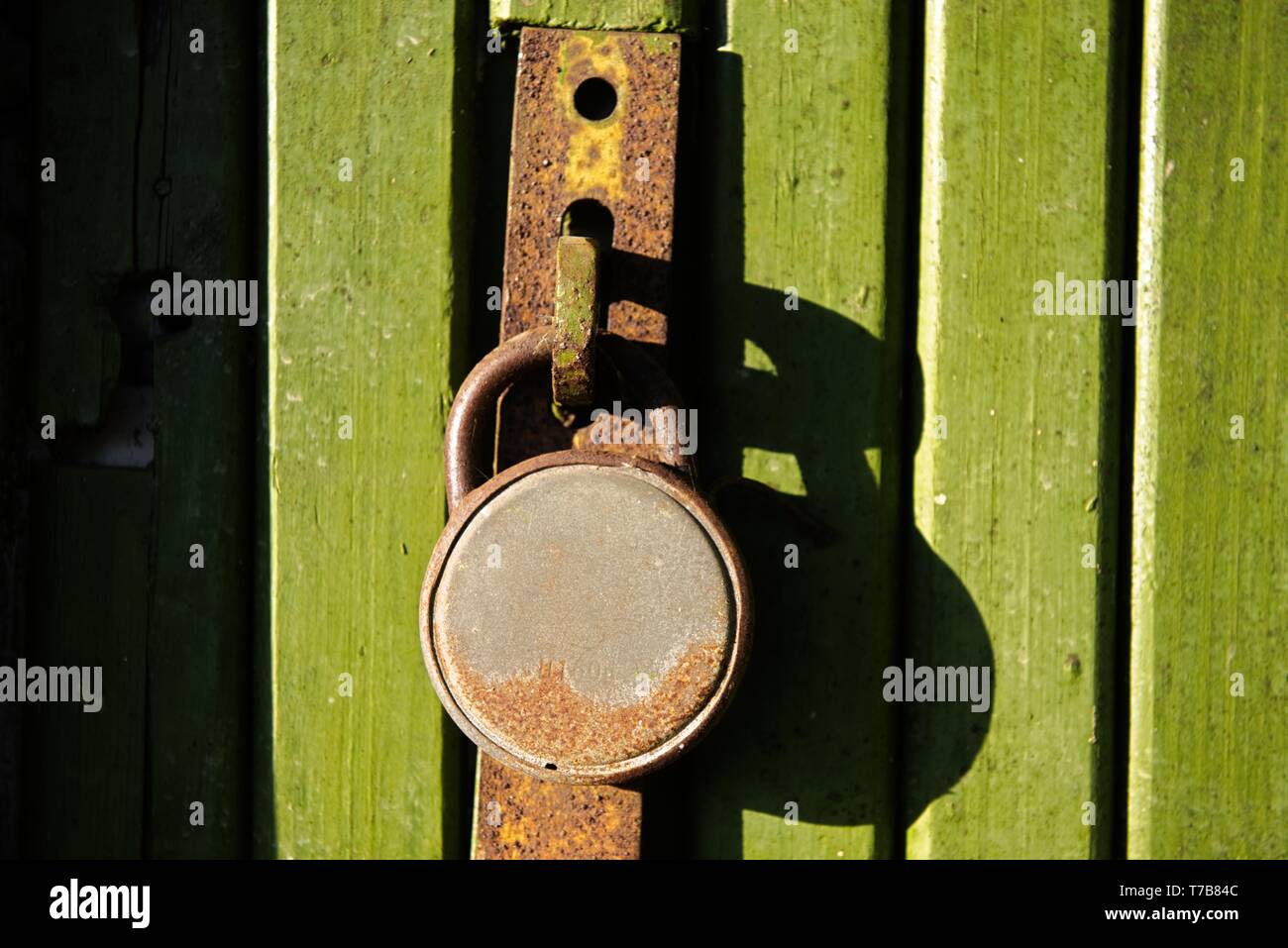 Green wooden door beautiful hi-res stock photography and images - Alamy