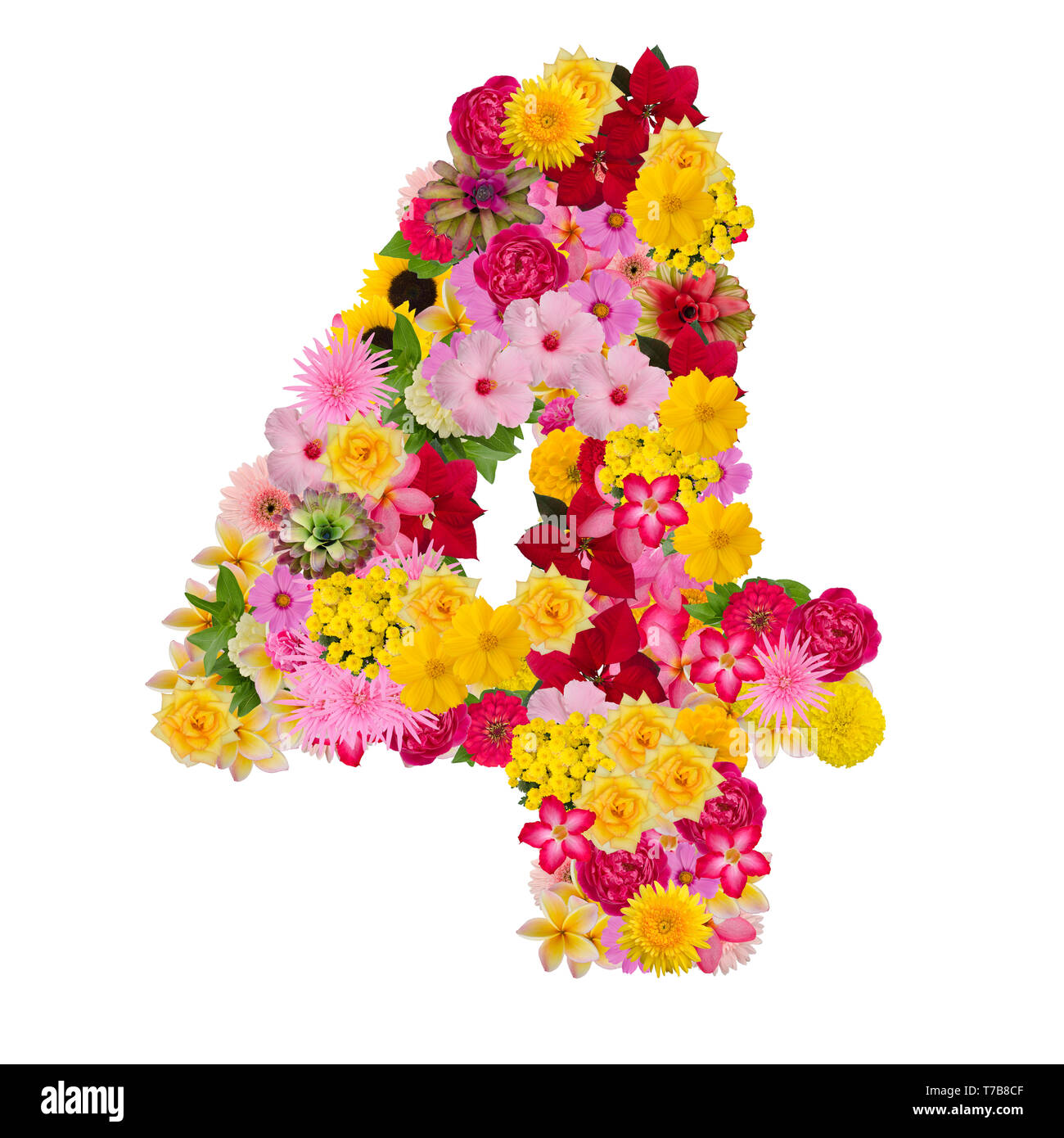 Number 4 made from flower isolated on white background. Whit clipping ...
