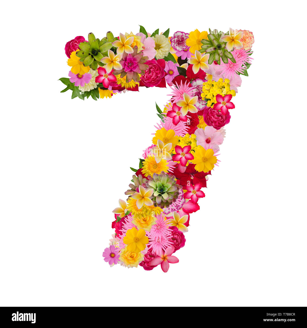Number 7 made from flower isolated on white background. Whit clipping ...