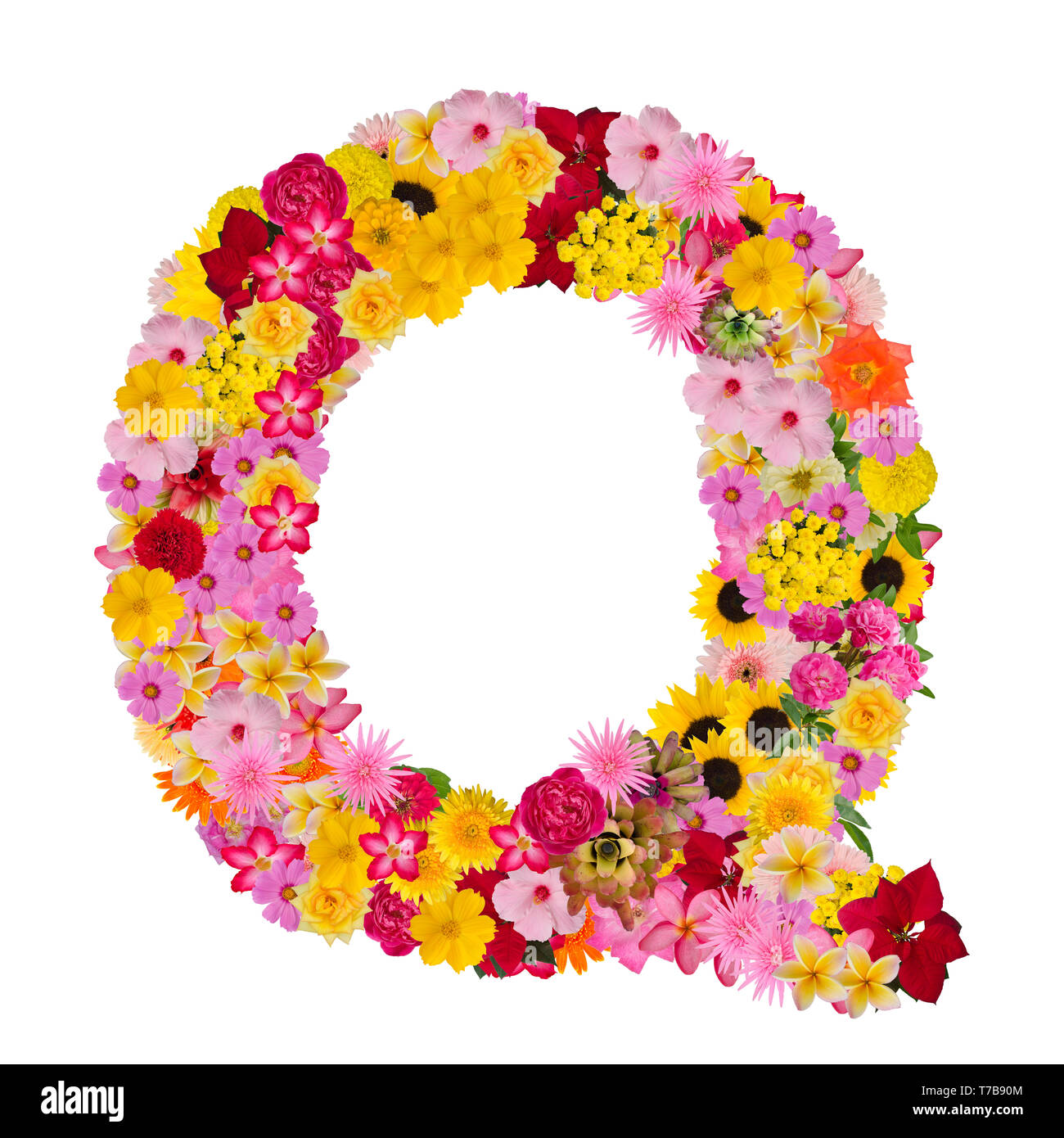 Letter Q alphabet with flower ABC concept type as logo isolated on ...