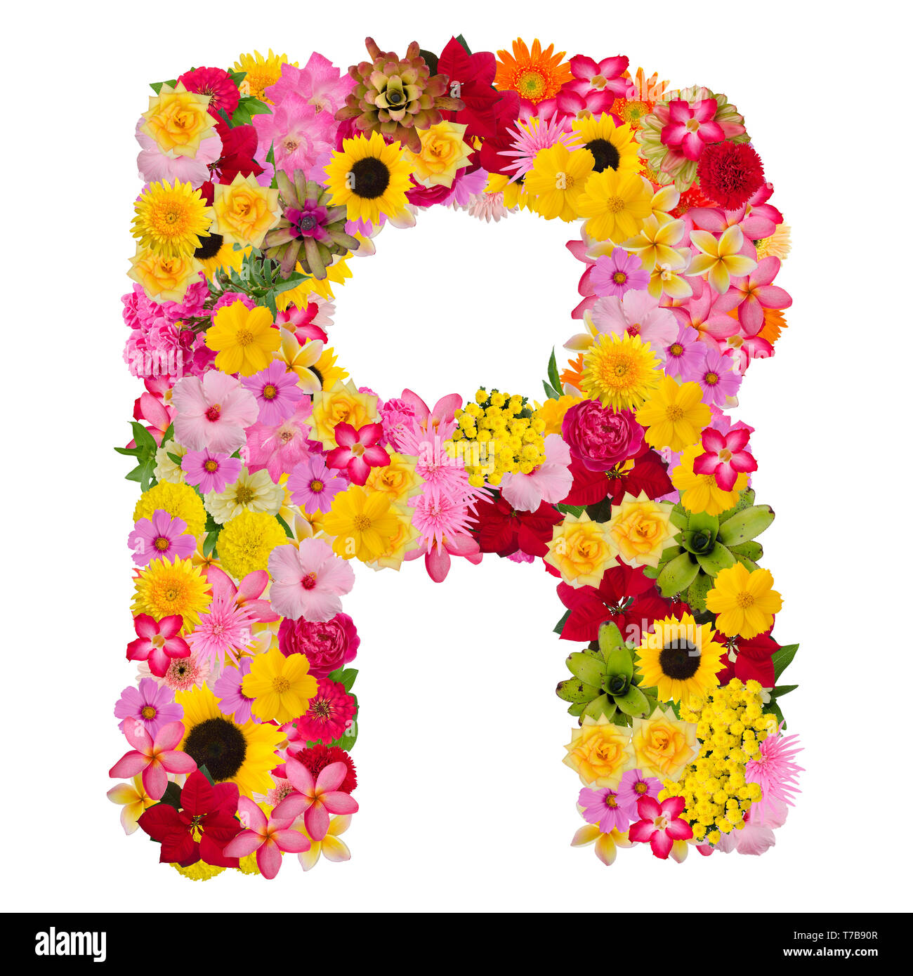 Alphabet Letter R Images