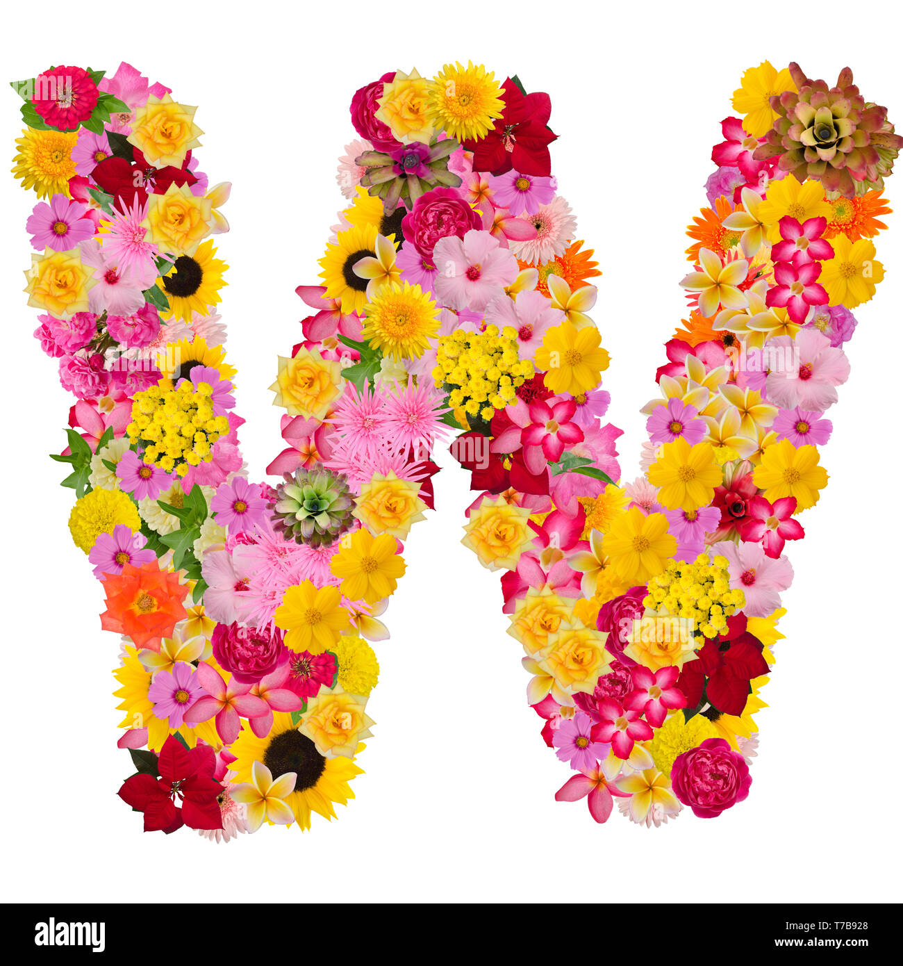List 100 Pictures What Number Is The Letter W In The Alphabet Sharp List 100 Pictures What Number Is The Letter W In The Alphabet Sharp
