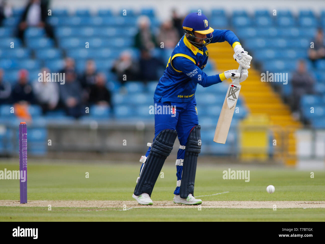 Durham lions hi-res stock photography and images - Alamy