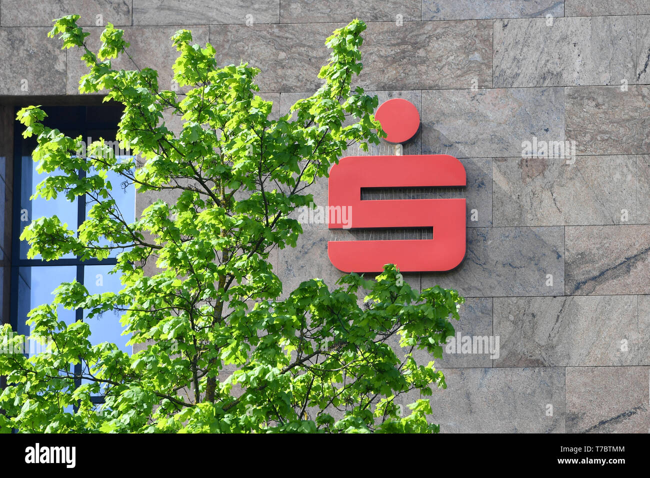 Sparkasse, logo, sign, on a facade in front of a tree with green leaves ...