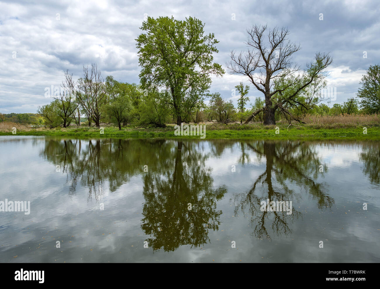Lowlands 2019 hi-res stock photography and images - Alamy