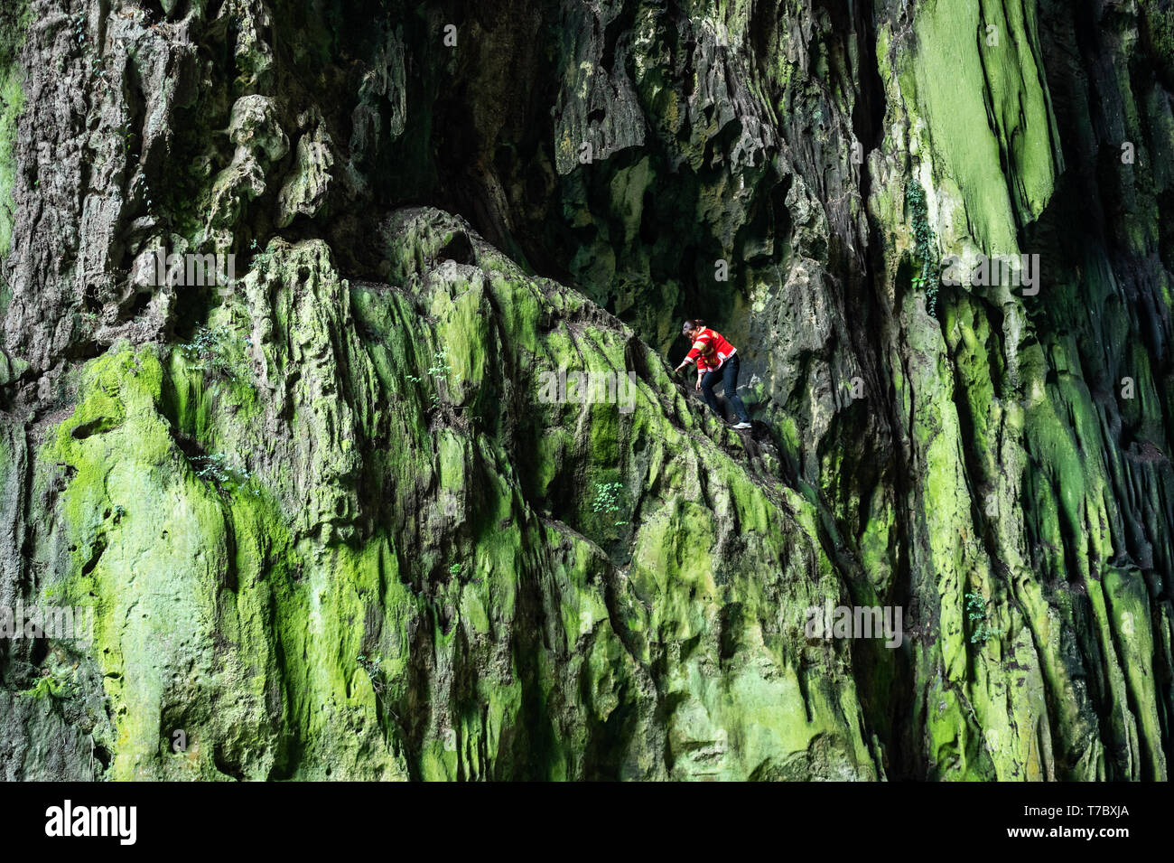 Ziyun. 19th Apr, 2019. Photo taken on April 19, 2019 shows the cliff ...