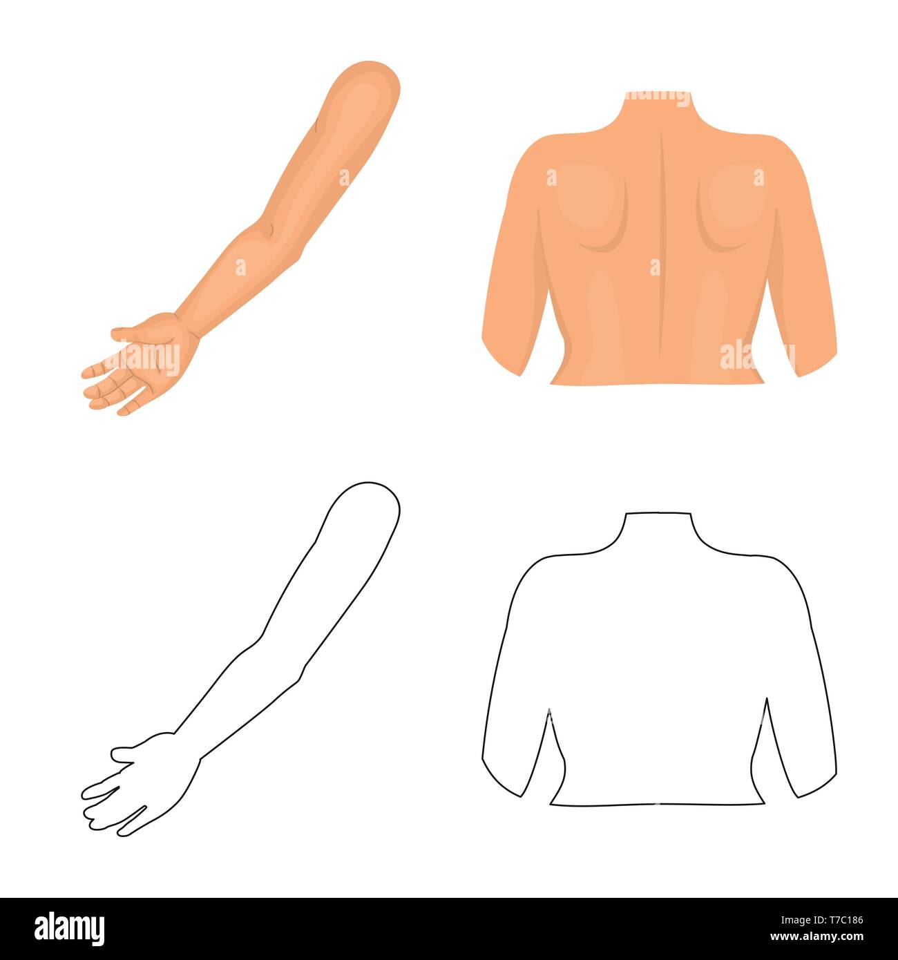 Vector design of body and part sign. Set of body and anatomy stock ...