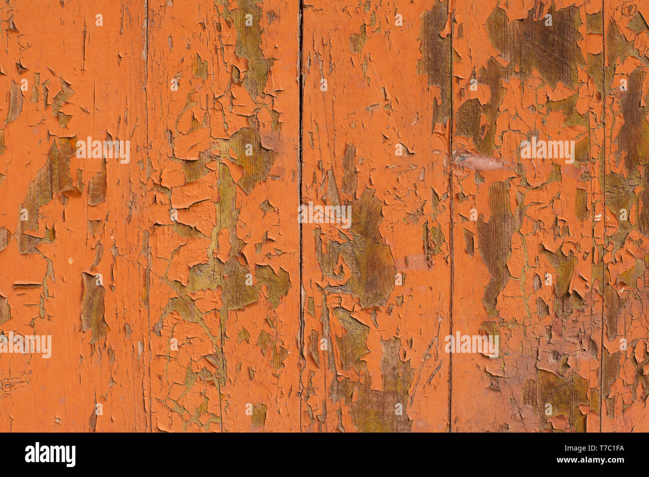 Orange Wooden Background, Wood Texture with paint Stock Photo - Alamy
