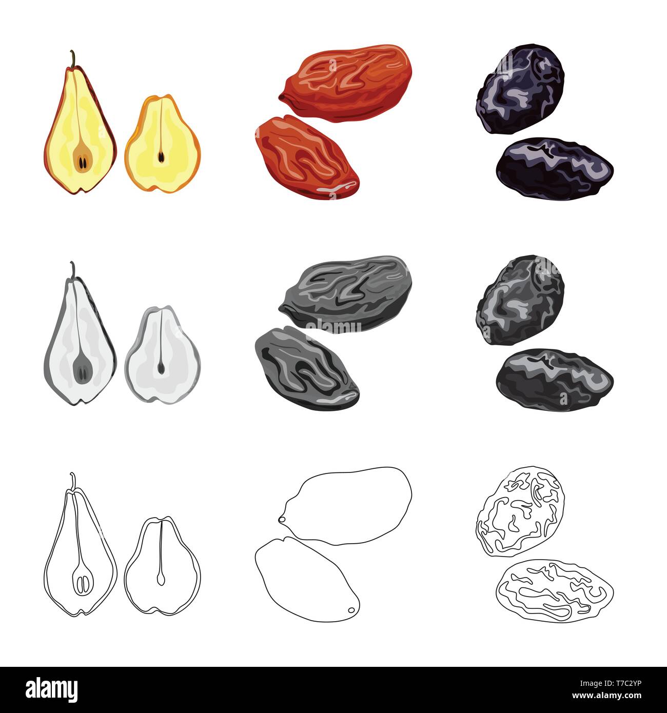 Vector design of food and raw icon. Set of food and nature stock vector ...