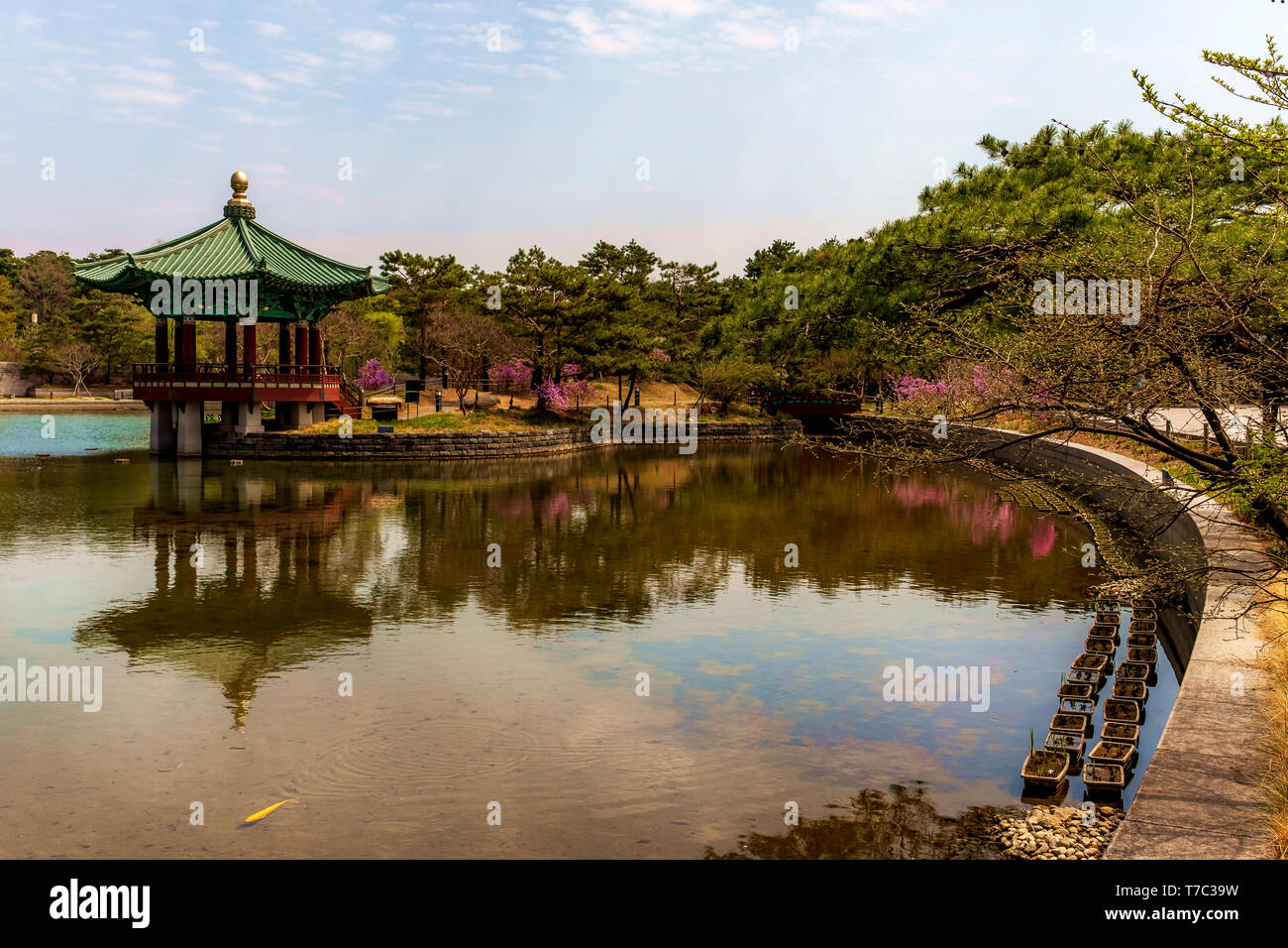 Korea pool hi-res stock photography and images - Alamy