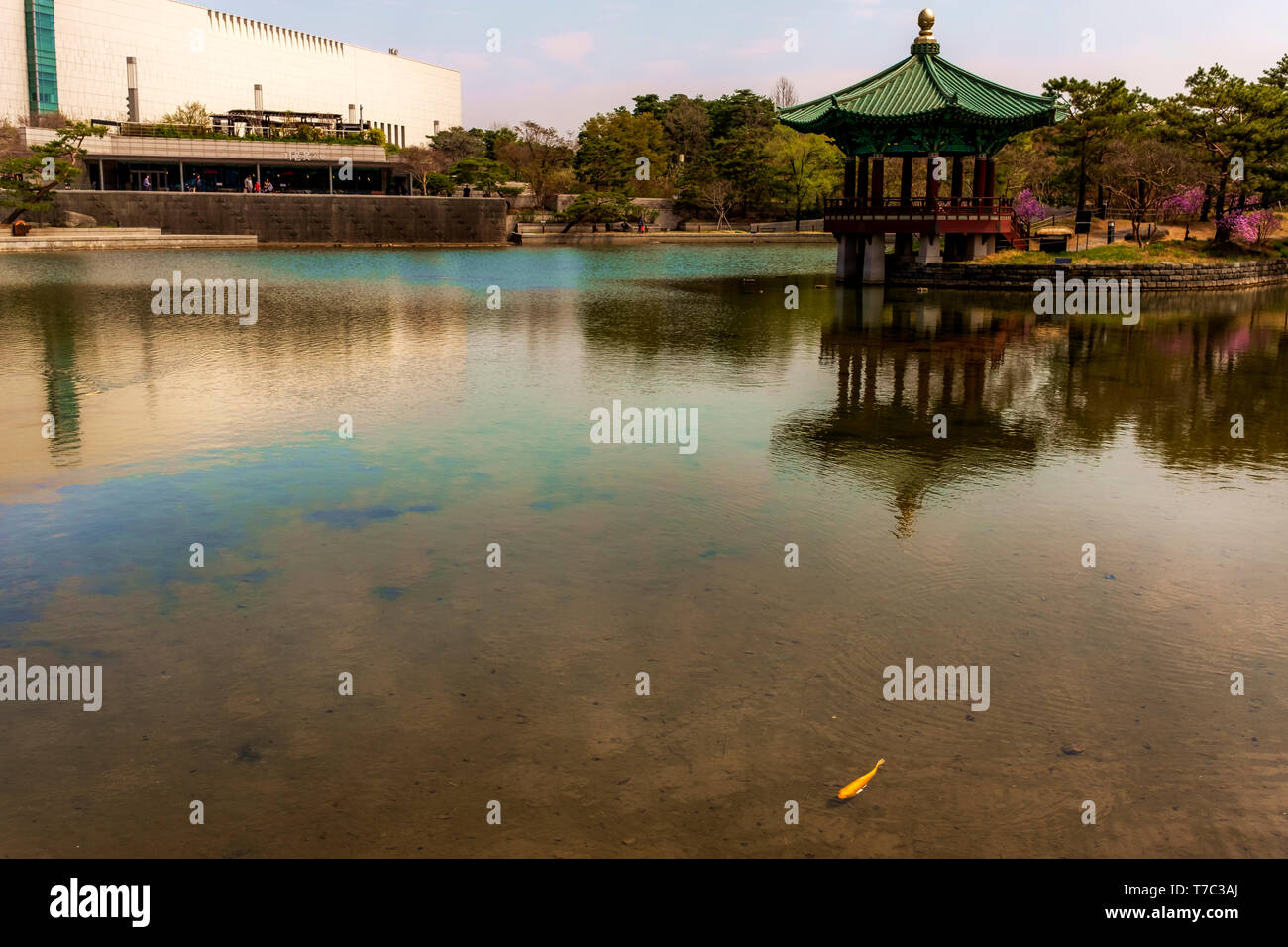 pavilion in the water, Seoul, South Korea Stock Photo - Alamy