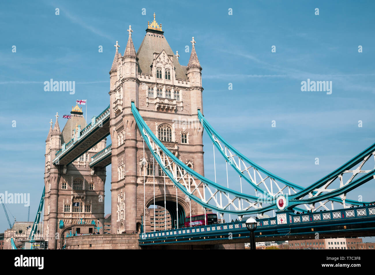 Tower bridge with white flower blossom London in spring Stock Photo - Alamy