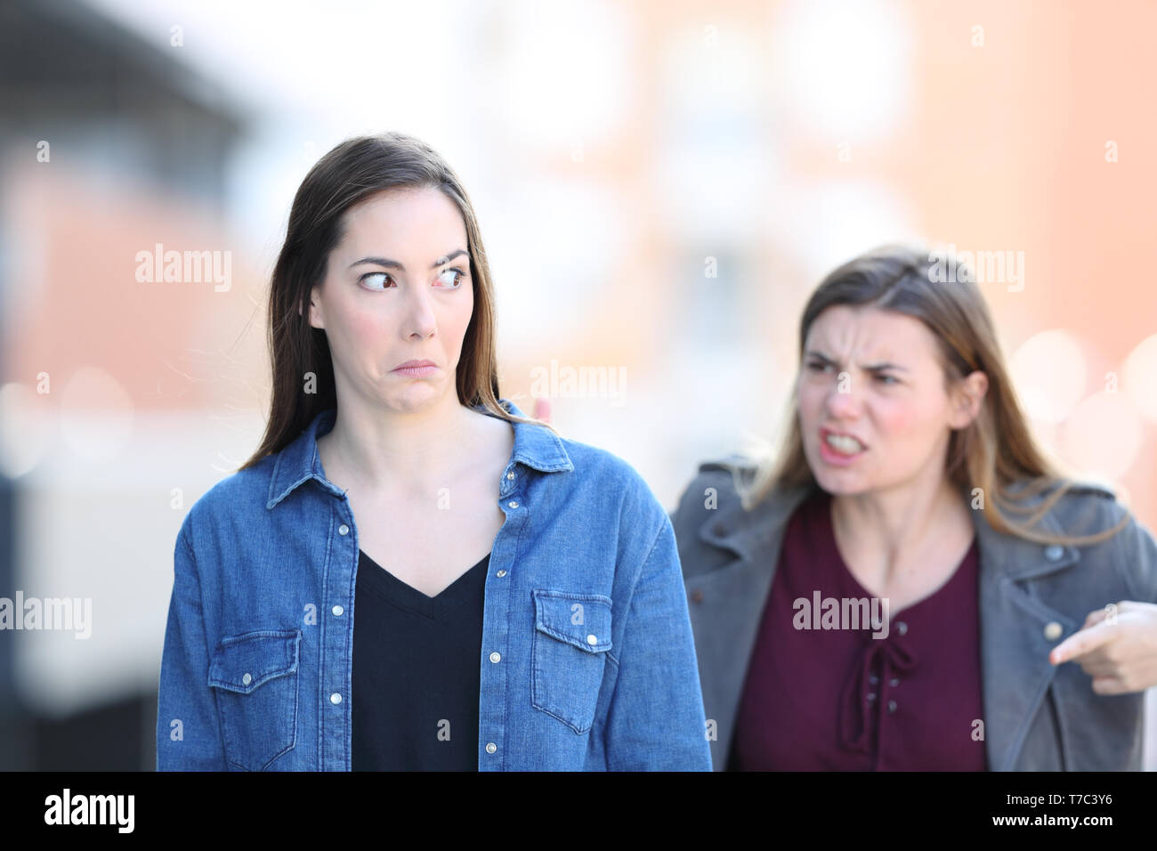 Front view portrait of an angry woman scolding her confused friend in ...