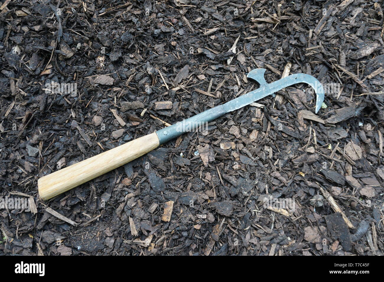 Coppicing tool hi-res stock photography and images - Alamy