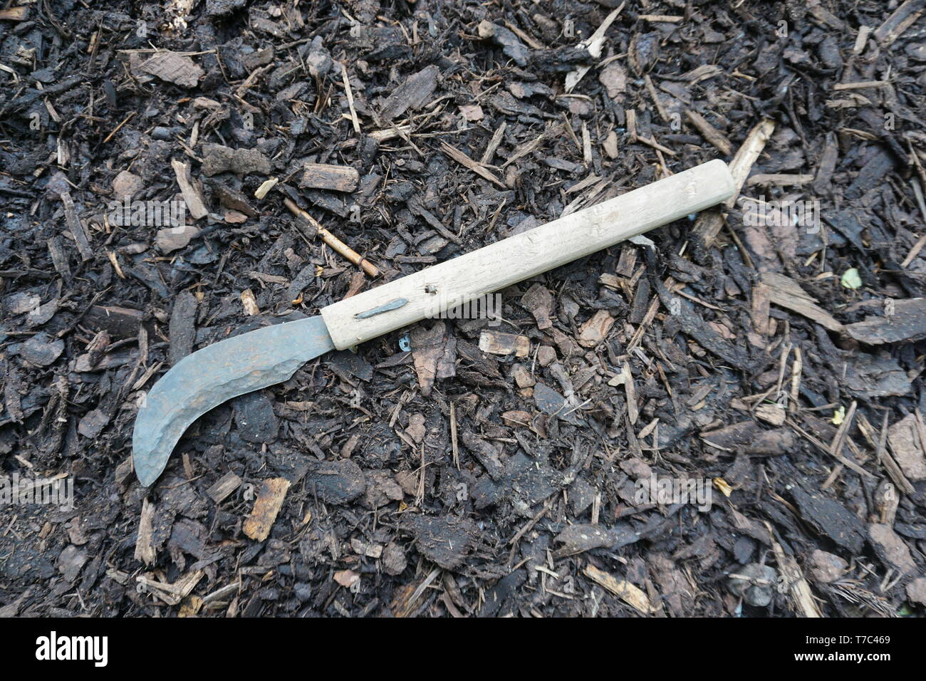 Coppicing tool hi-res stock photography and images - Alamy