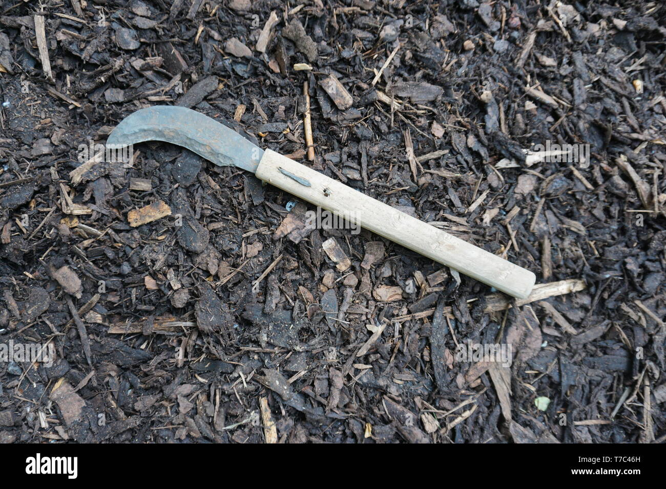 Coppicing tool hi-res stock photography and images - Alamy