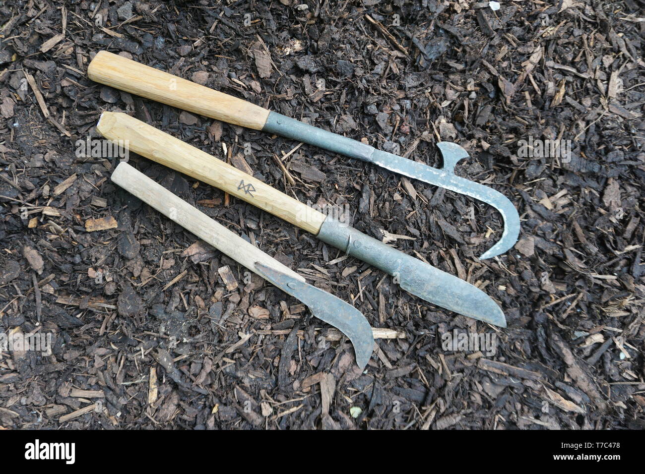 Coppicing tool hi-res stock photography and images - Alamy
