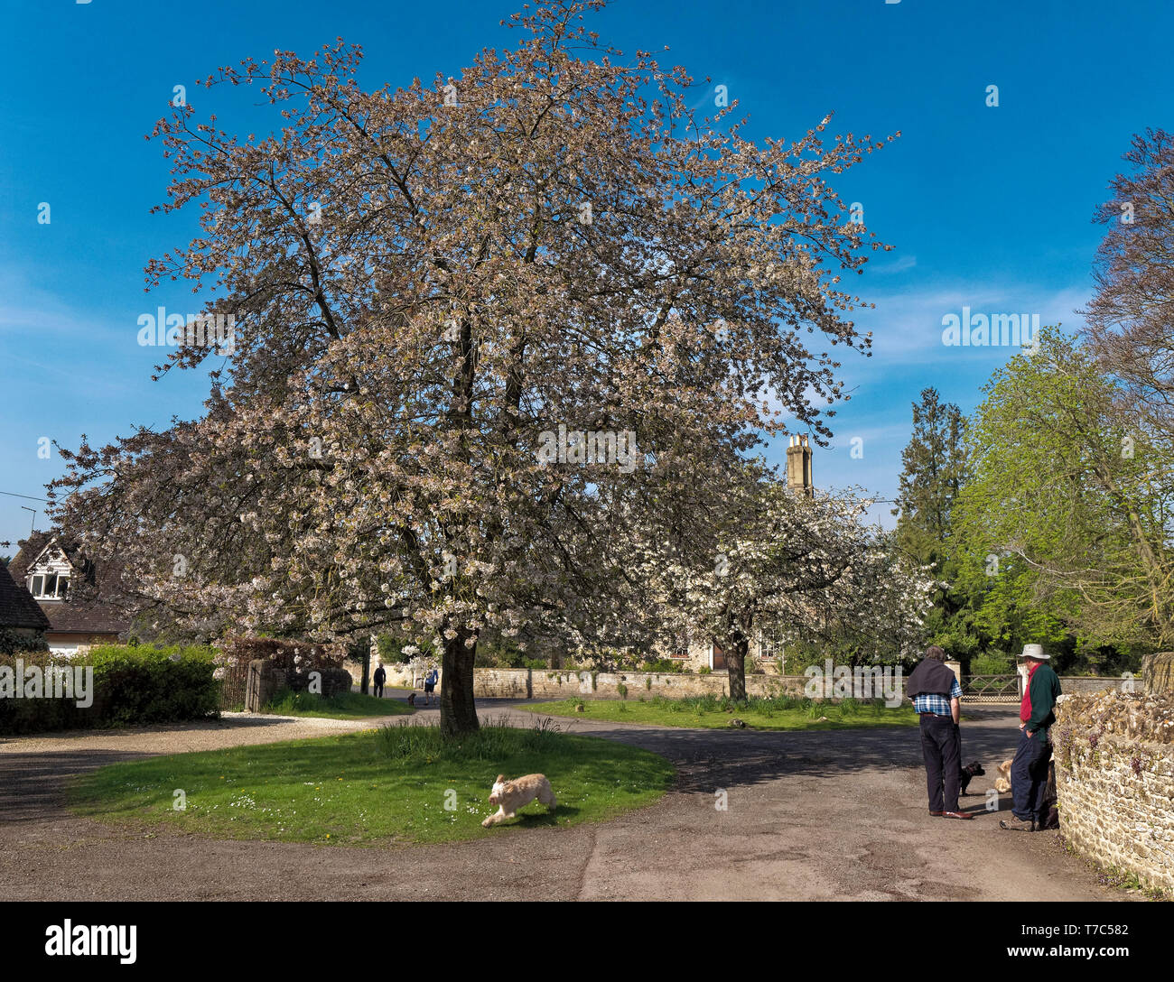 Fyfield hi-res stock photography and images - Alamy