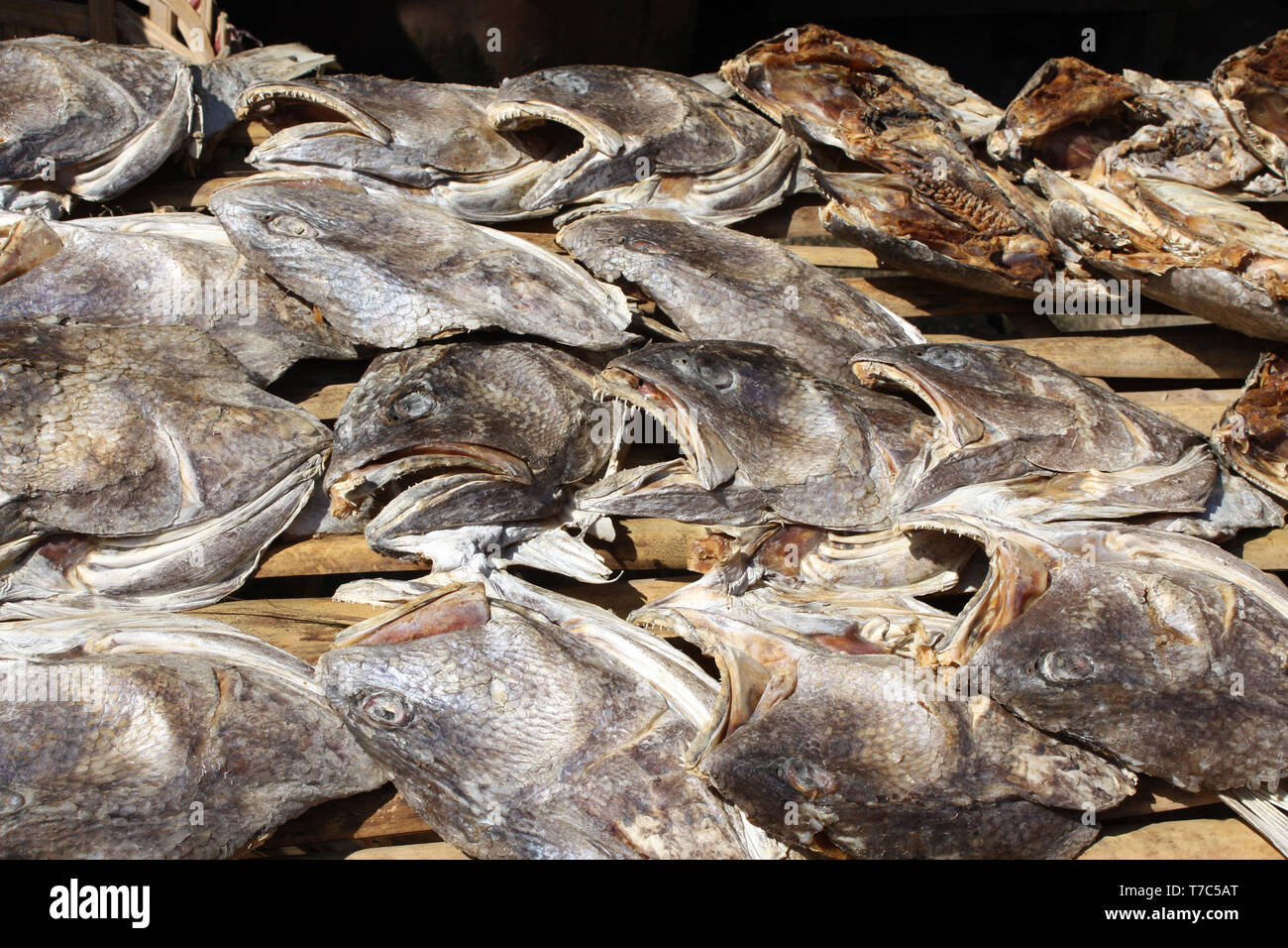 Dried fish heads hi-res stock photography and images - Alamy