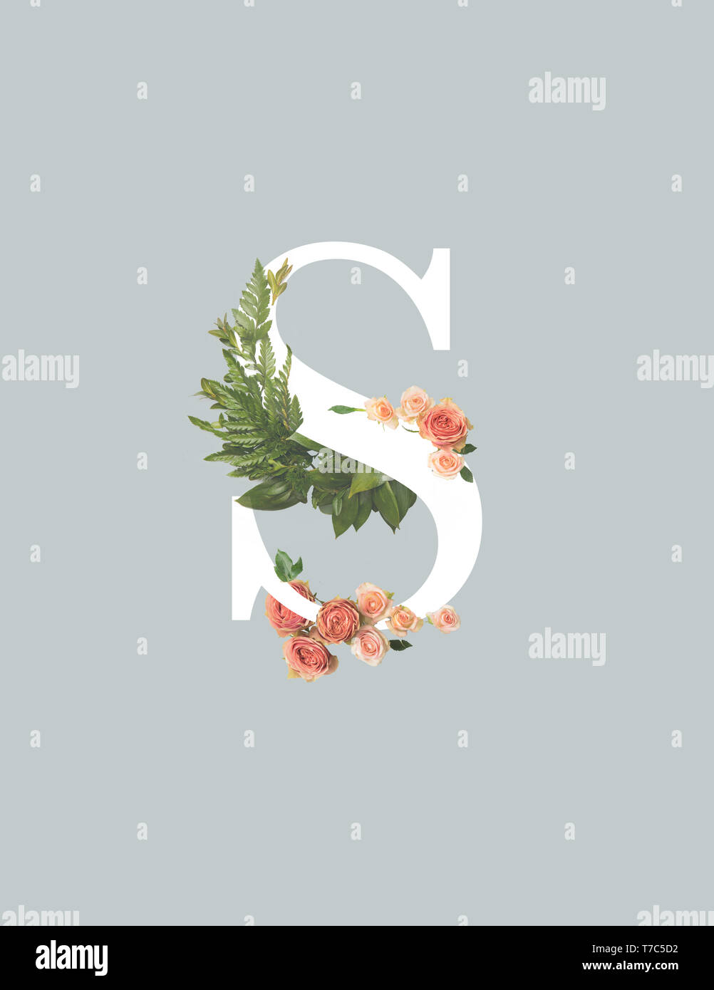 white letter S with roses and green fern leaves isolated on grey Stock ...