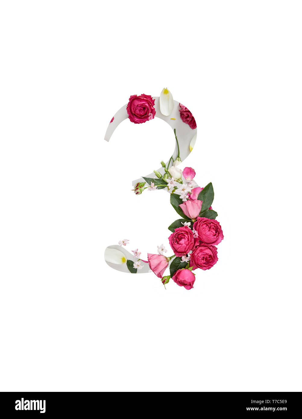 number 3 with pink roses and green leaves isolated on white Stock Photo ...