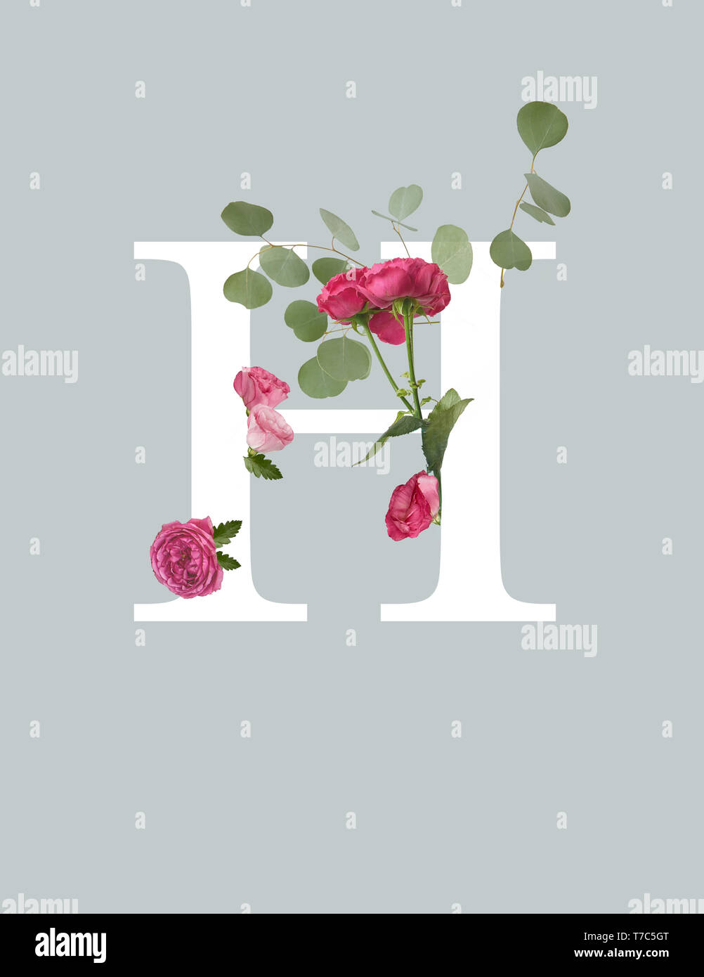 Letter H Flowers High Resolution Stock Photography and Images - Alamy