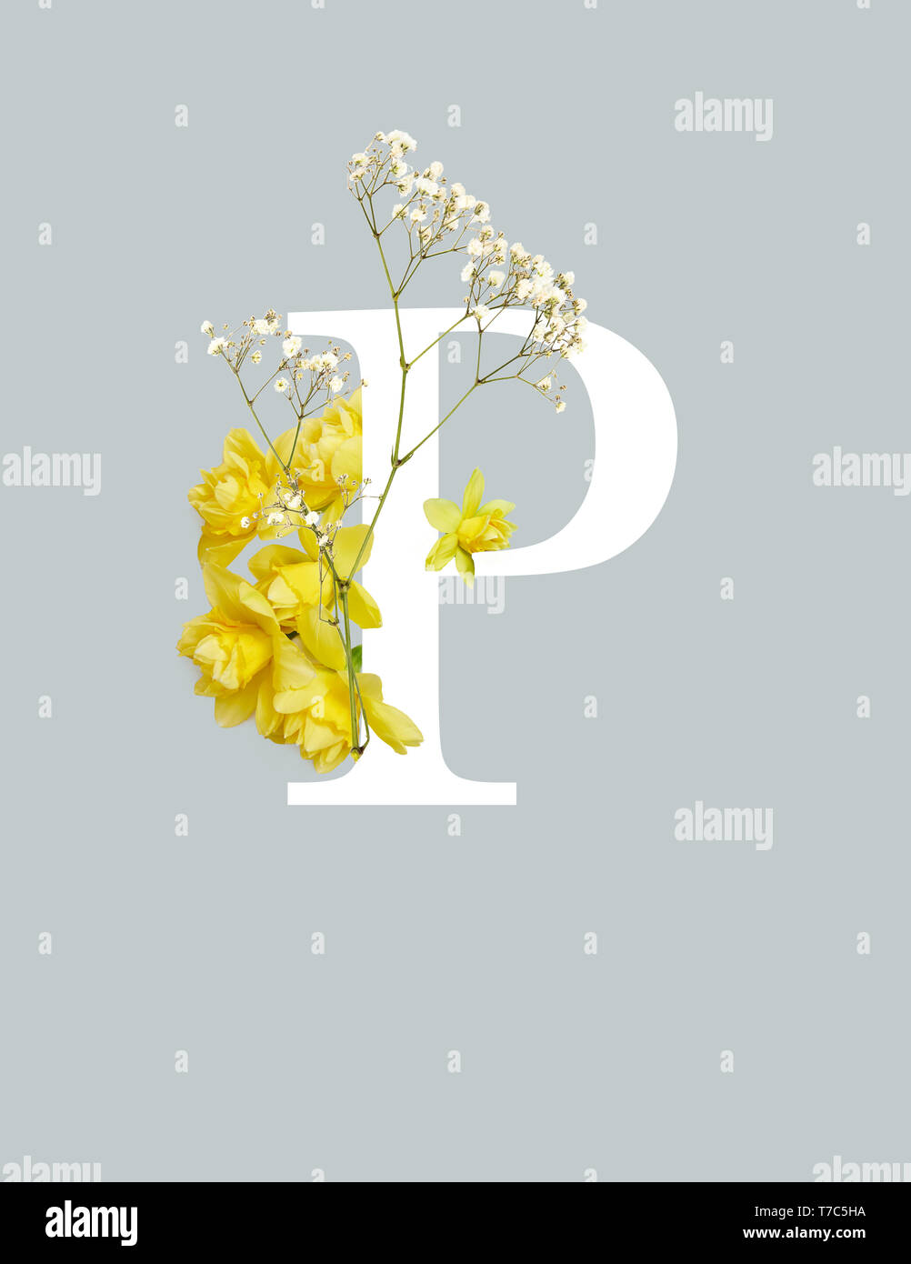 white letter P with wildflowers and yellow daffodils isolated on grey ...