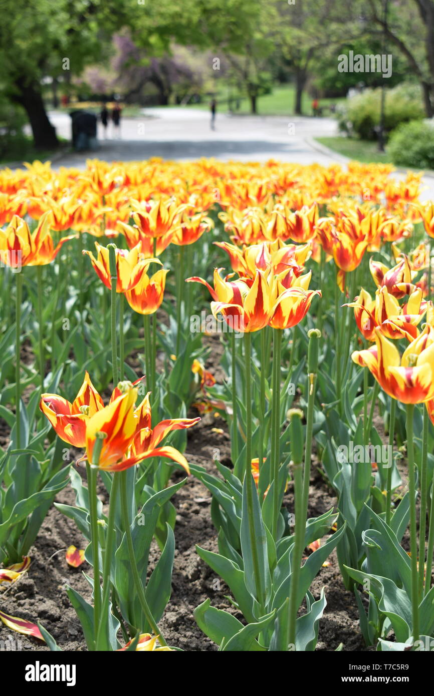 Nature at its finest Stock Photo - Alamy