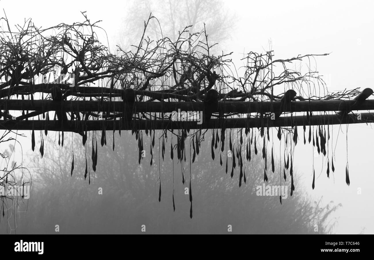 Dutch snow landscape Black and White Stock Photos & Images - Alamy