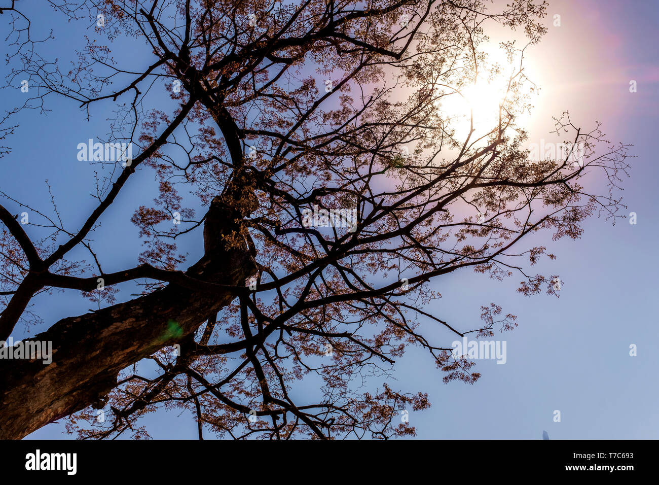 Seoul lovers hi-res stock photography and images - Alamy