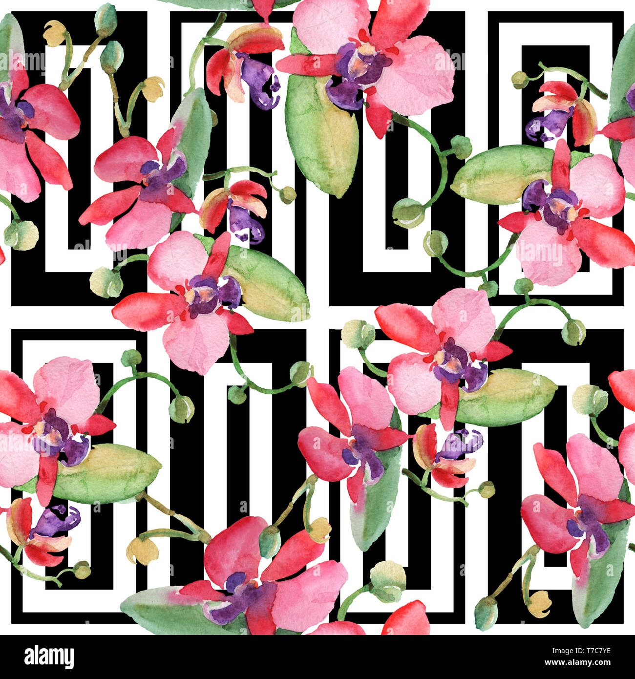 Orchid bouquets floral botanical flowers. Watercolor background ...