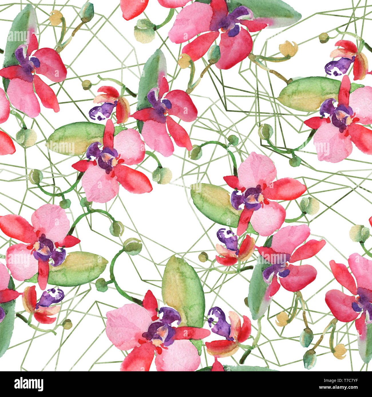 Orchid bouquets floral botanical flowers. Watercolor background ...