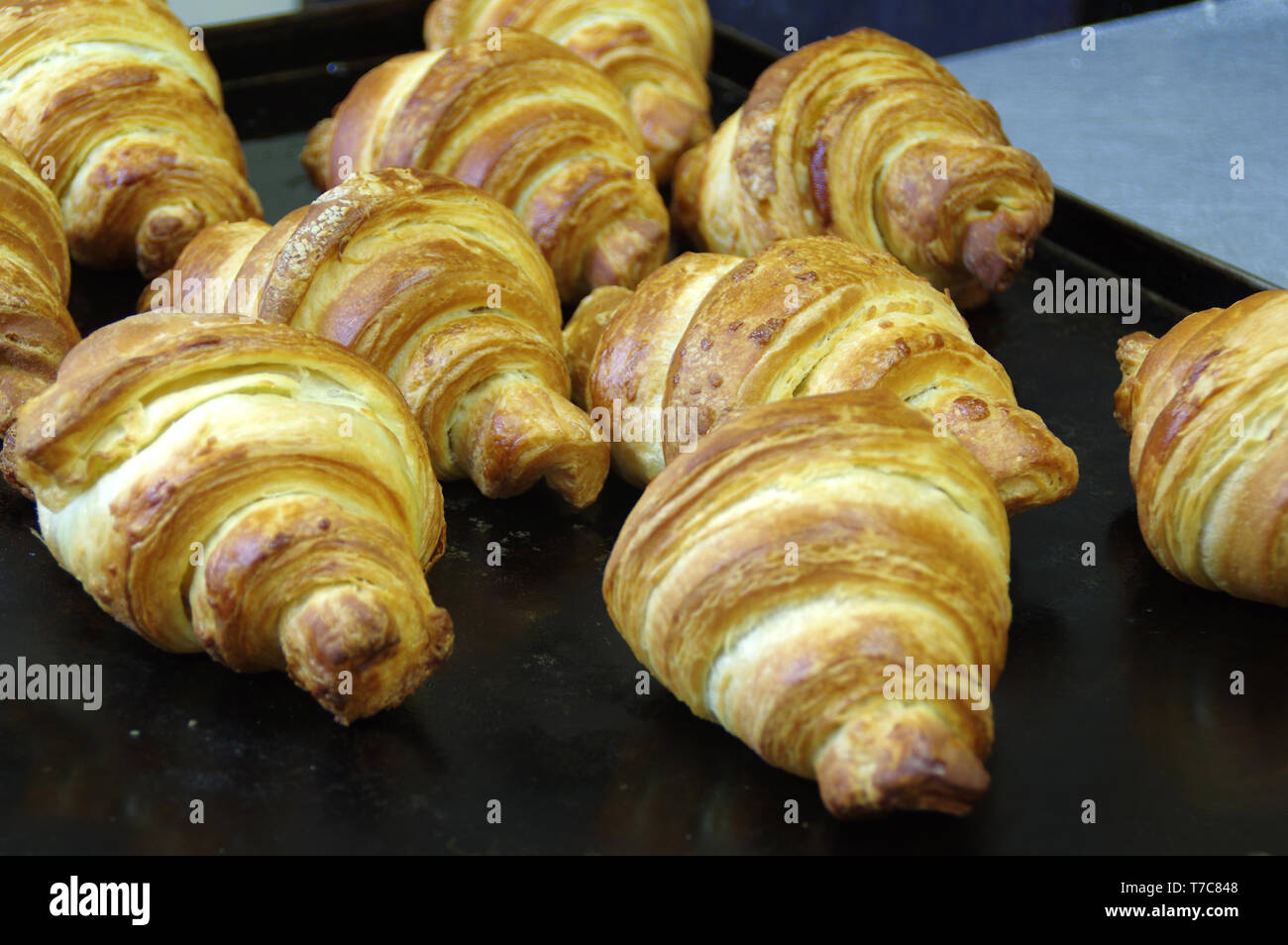 Hot croissant straight from the oven. Fresh french pastry Stock Photo ...