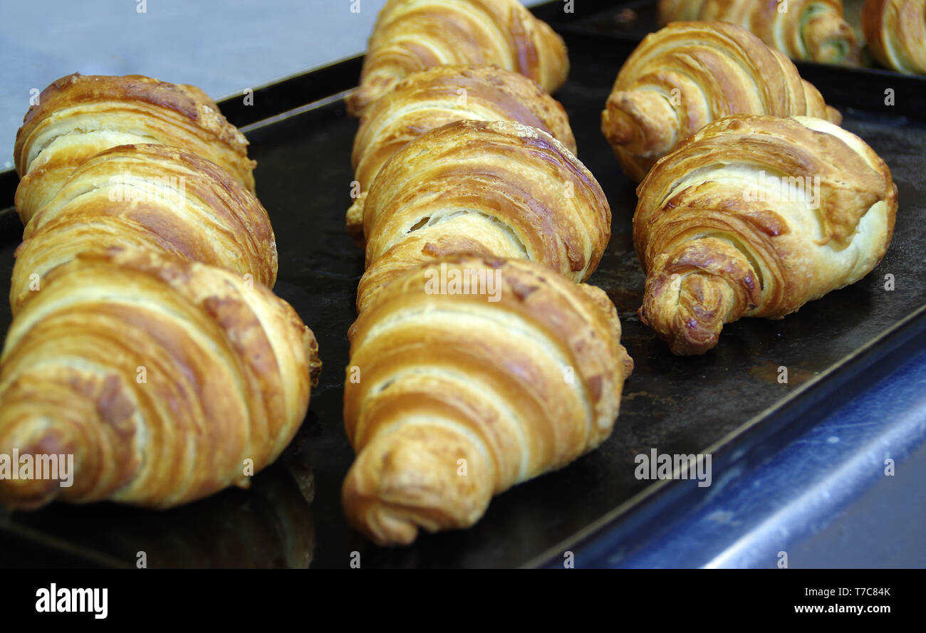 Hot croissant straight from the oven. Fresh french pastry Stock Photo ...