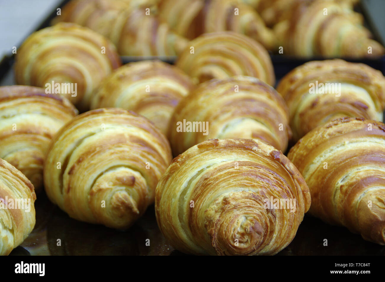 Hot croissant straight from the oven. Fresh french pastry Stock Photo ...