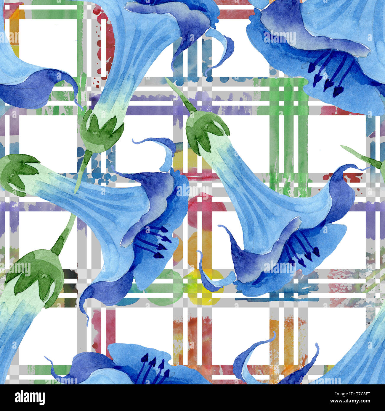 Blue brugmansia floral botanical flowers. Watercolor background ...