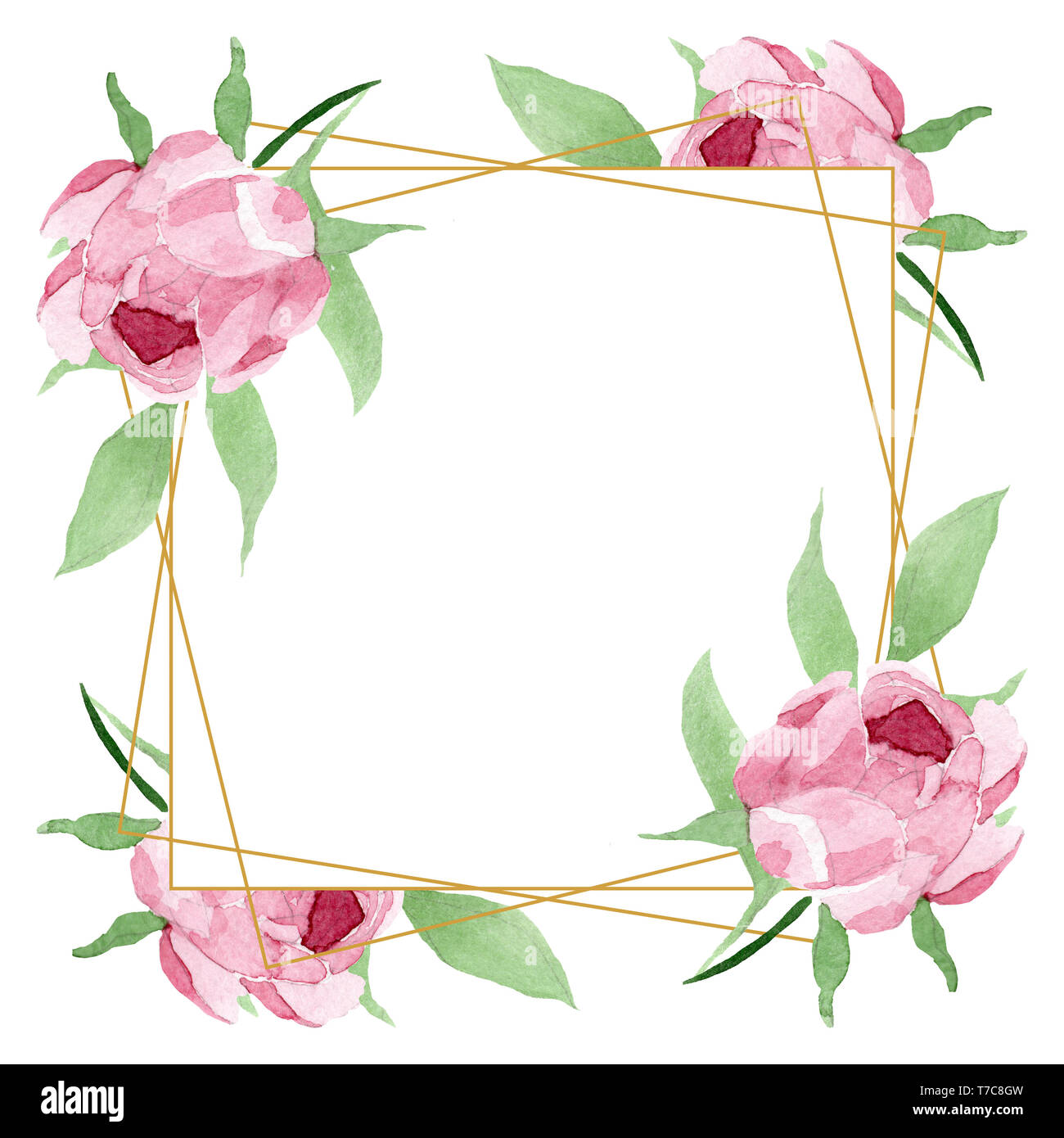 Dark red peony floral botanical flowers. Watercolor background ...
