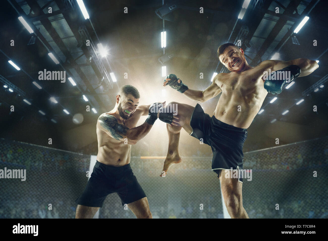 Ready to defend and attack. Two professional fighters posing on the ...