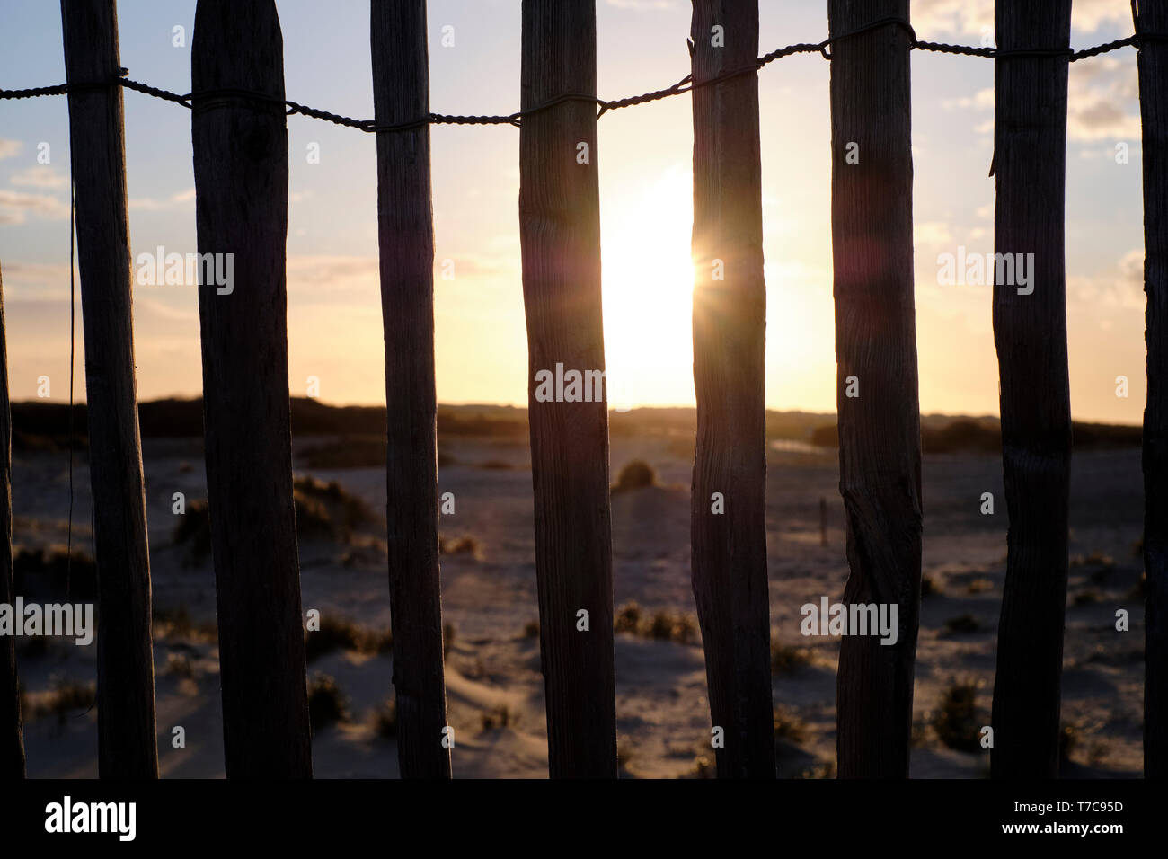 Piles of wooden fencing hi-res stock photography and images - Alamy