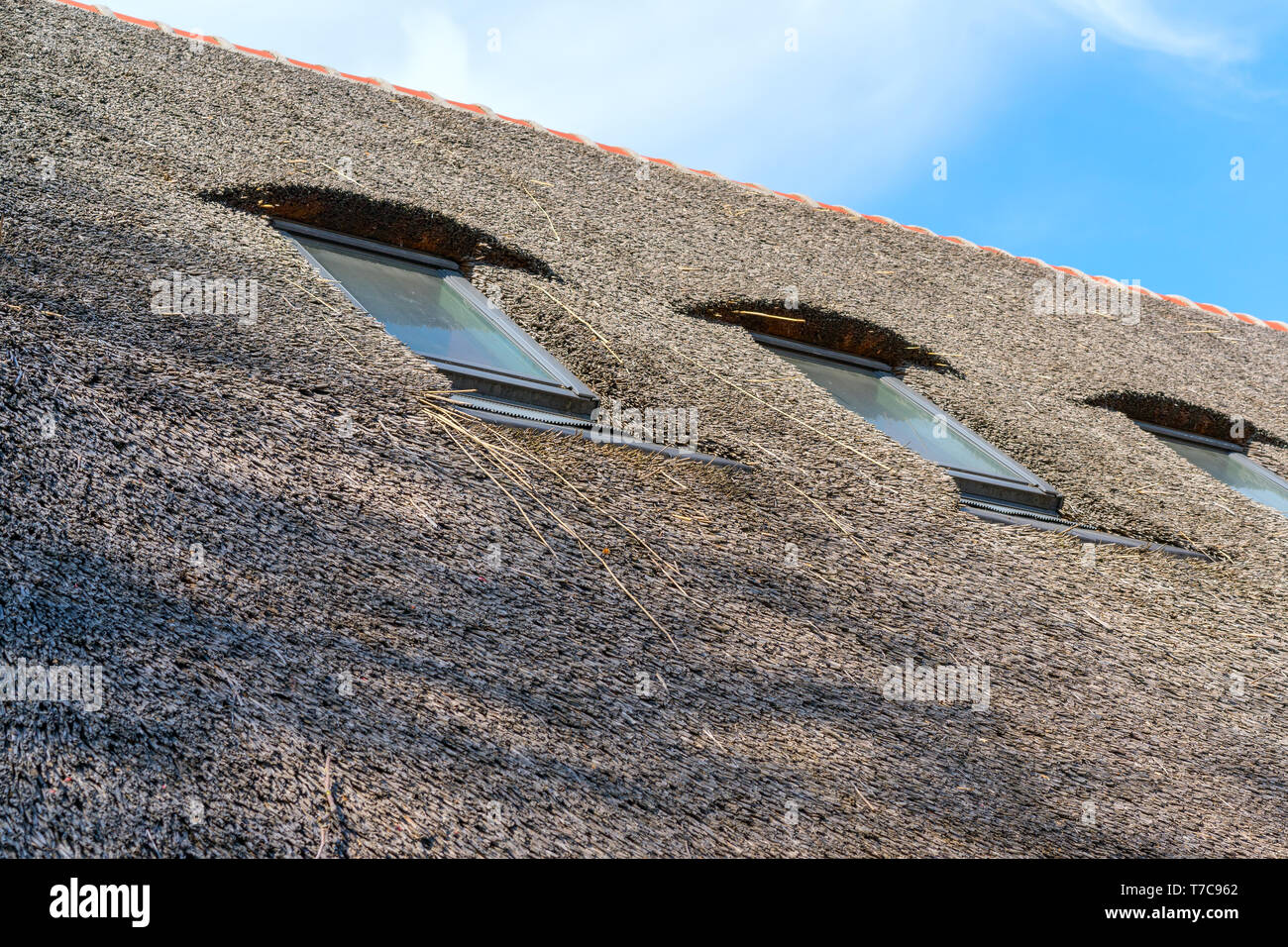 Reed roof of an house in an ancient village. Traditional thatched roof ...