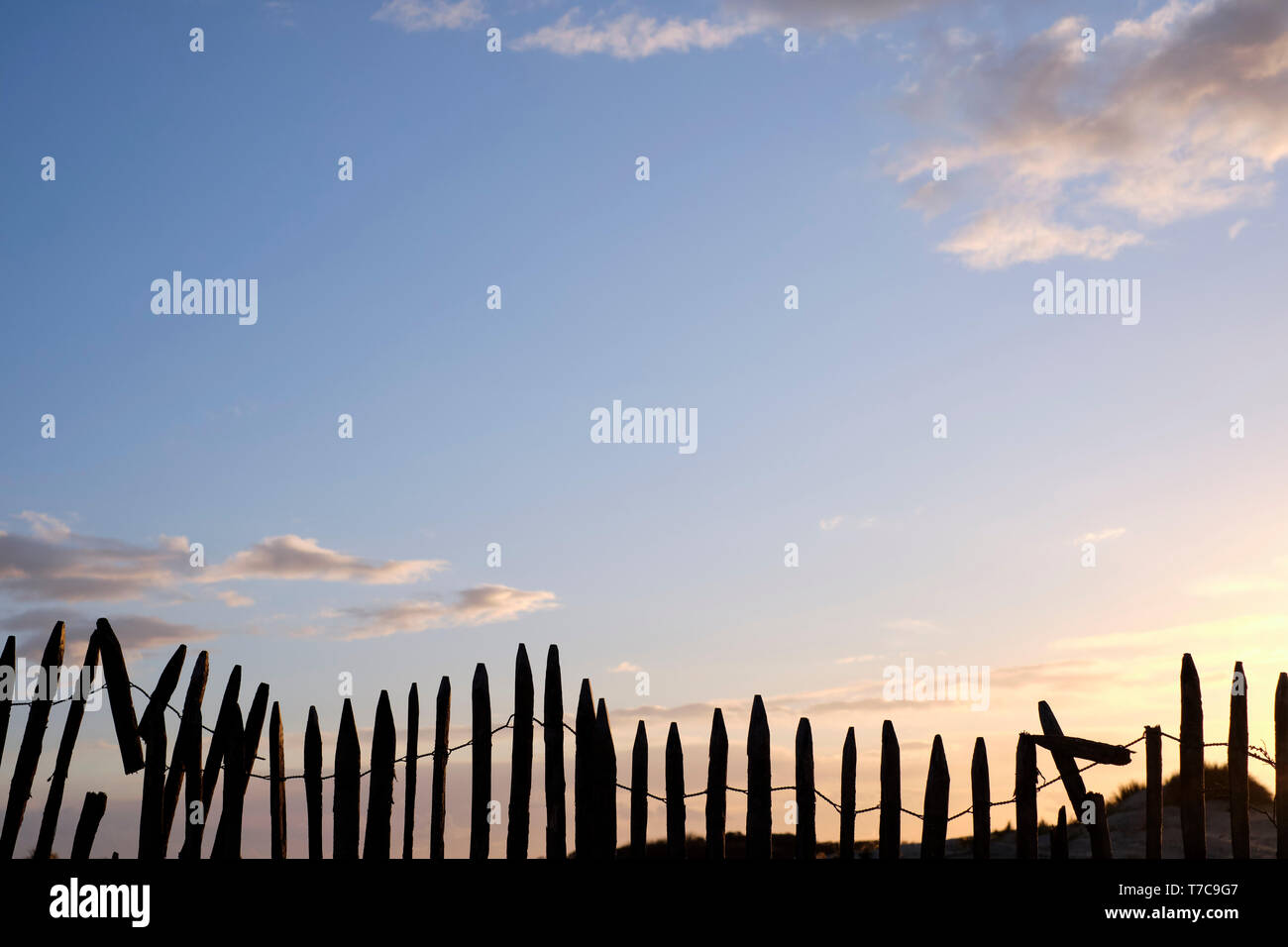 Wooden fence in the dunes near The Hague, Netherlands Stock Photo - Alamy