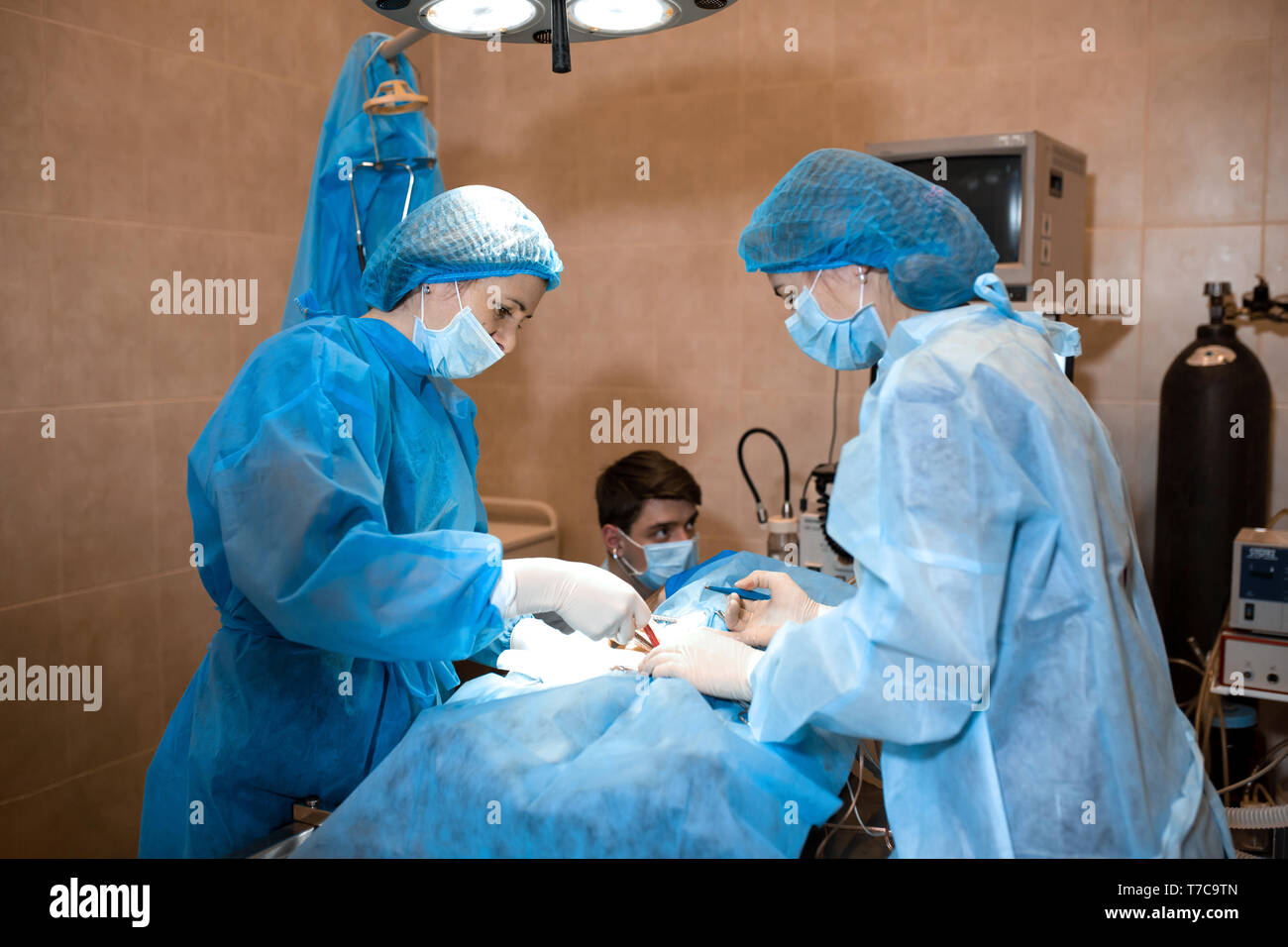 veterinarian or doctors team doing surgery in the clinic. medicine, pet ...