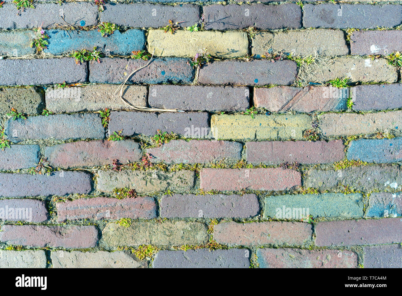 Old, vintage, multicolored paving, traditional pavement in Holland ...