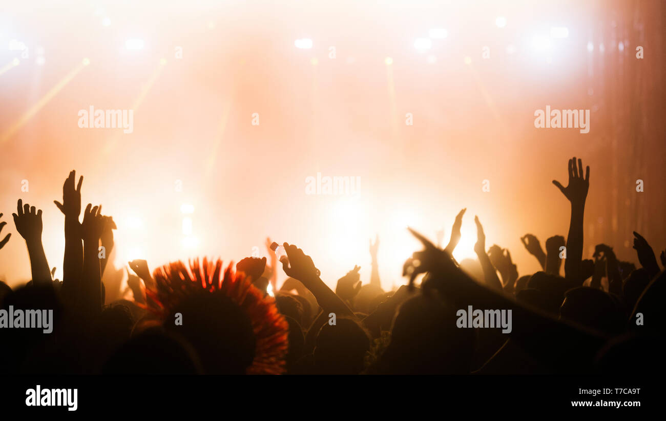 Picture of party people on music festival Stock Photo - Alamy